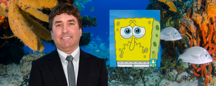 Morre, aos 72 anos, Andy Paley compositor da trilha sonora de Bob ...